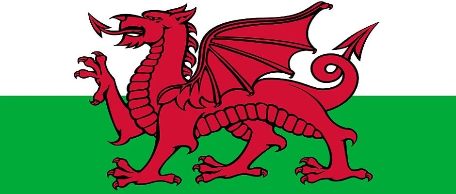 About Dwti – Dwti Draig